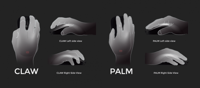 BenQ Zowie FK2 Review - The Best Budget FPS Gaming Mouse - Gamer Necessary